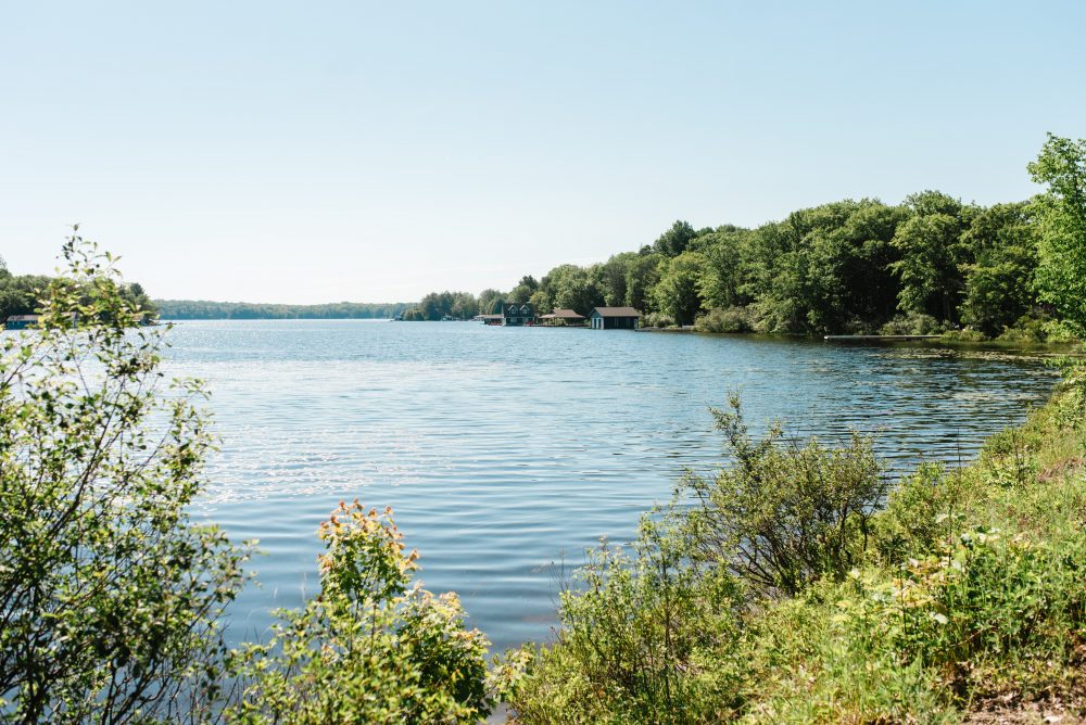 Environmental Risks Influencing Addiction | GreeneStone Blog